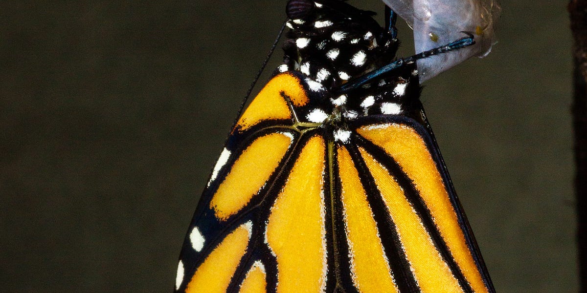 2024 The Total Artist #0: The Most Important Thing You Will Do