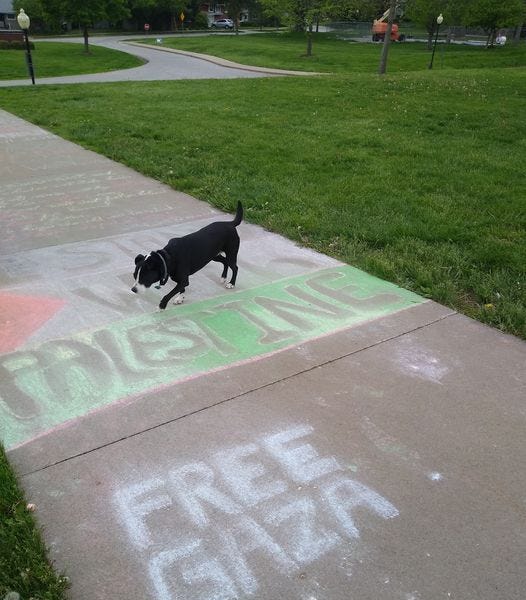 There is Only One Solution, Intifada Revolution