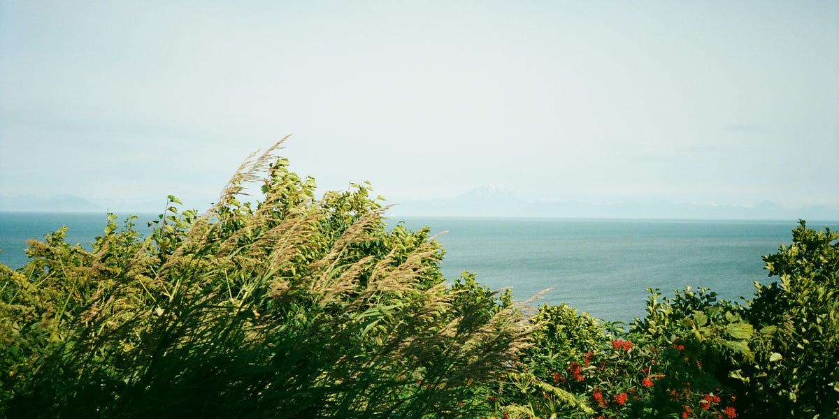 Defining the years - by Julia Bedell - vessels