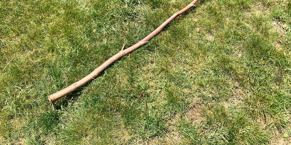 Someone stole my stick. - Life on Planet Moron