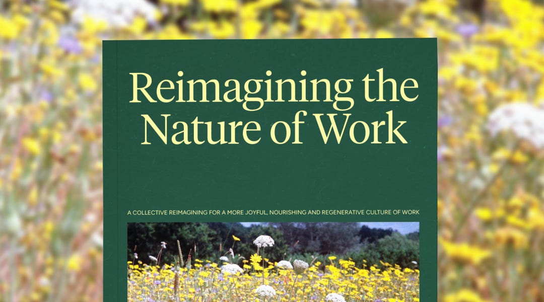 Introducing: Reimagining the Nature of Work 📘