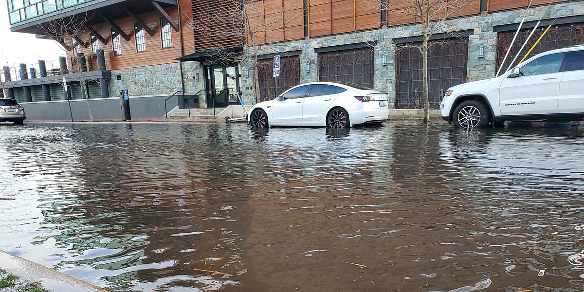 Hit Me With Your Best (Anti-Urbanism) Shot