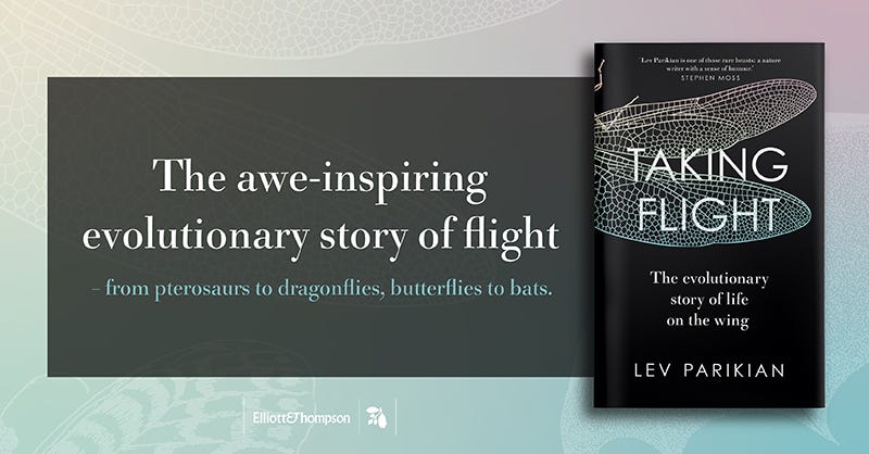 Six Things – Taking Flight - by Lev Parikian - Six Things