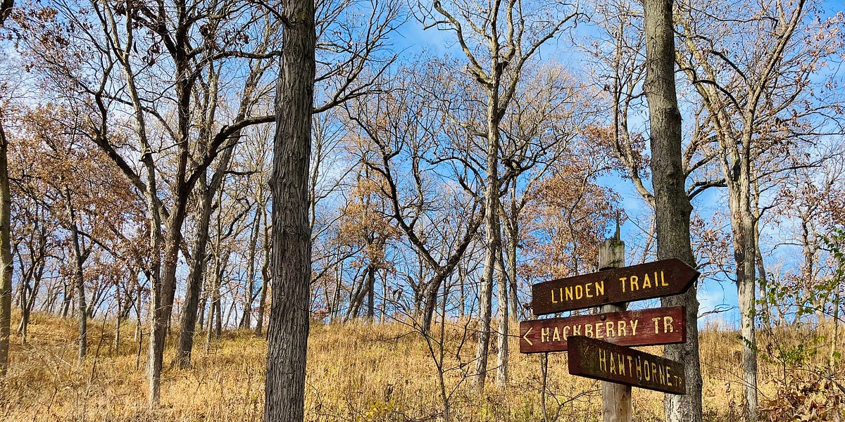 Michelle Foss responds to 'lost in Fontenelle Forest' pod