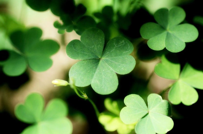 Time to break up the ESG gang, for the good of investors