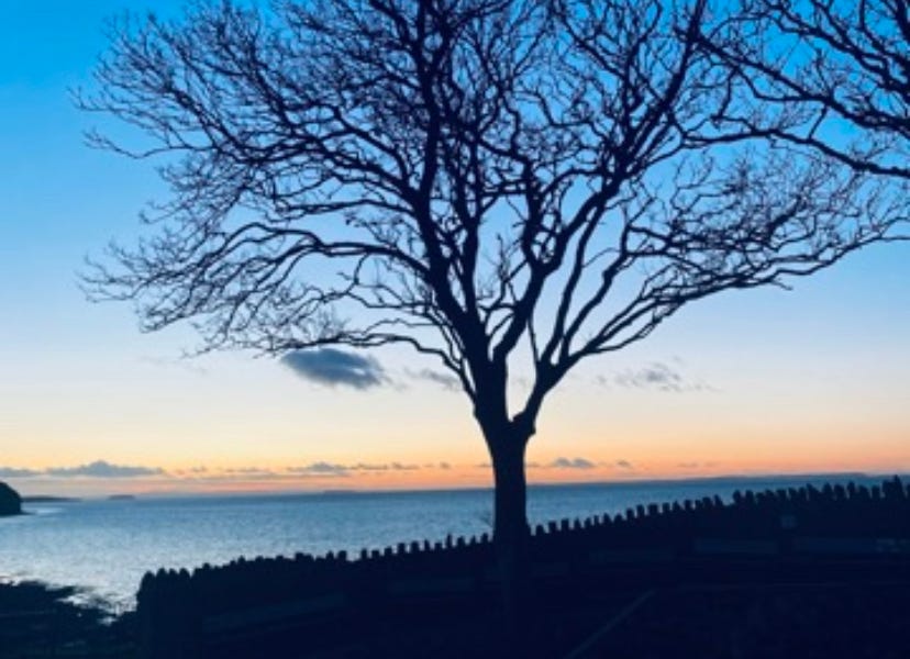 Naked and bare - by Nina Tree - Nina’s Substack