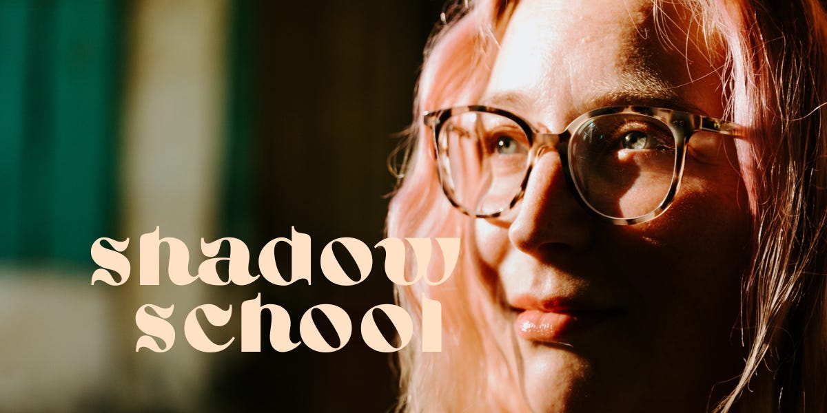 Shadow School 64 Day Live Series - by Breean Elyse Miller