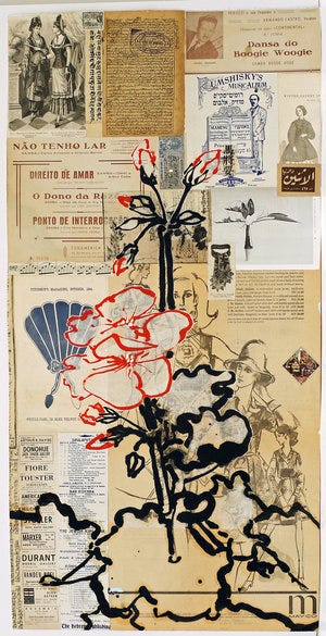 Content & the orchards of origin - by Taylor Gage