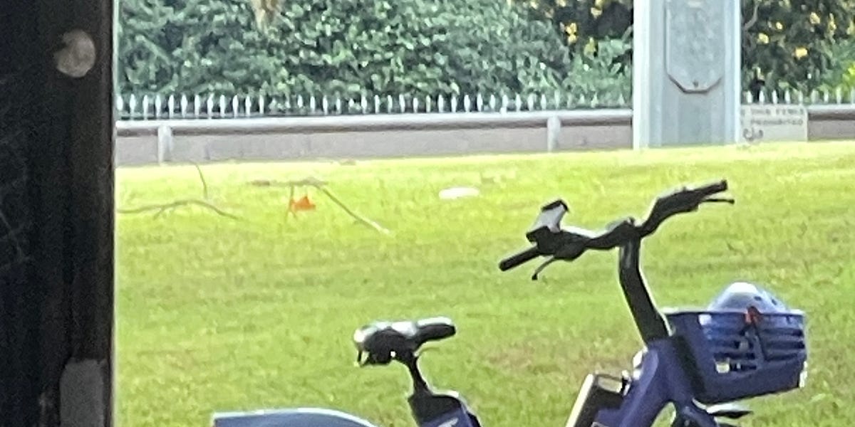 Bike - by Bev Levine - Bev’s Substack