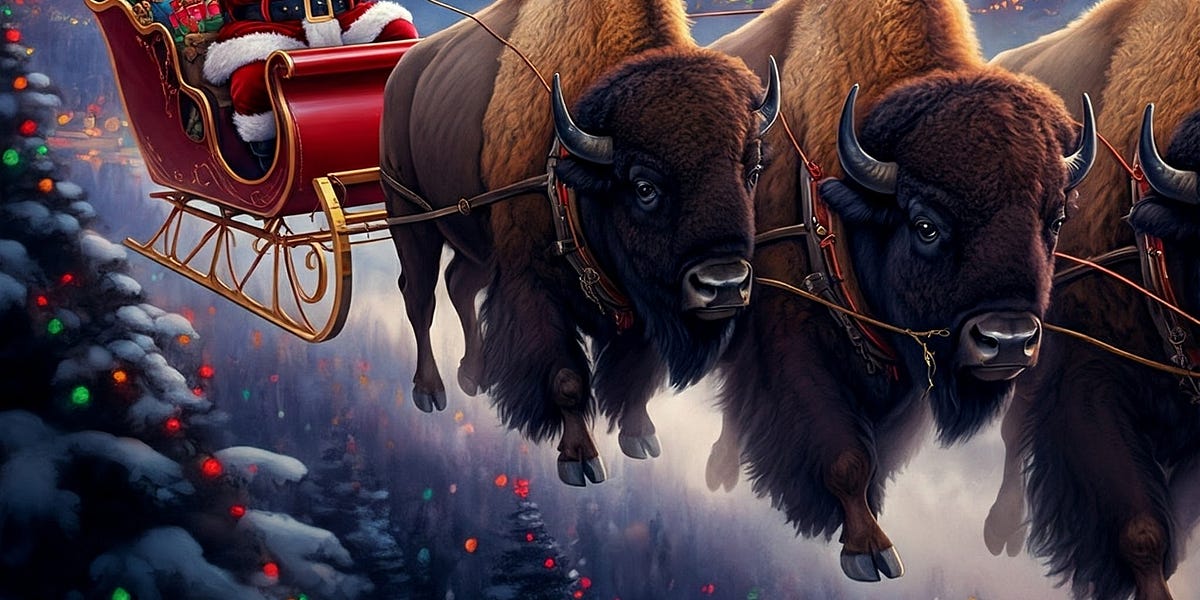 Merry Christmas - Bonner Private Research