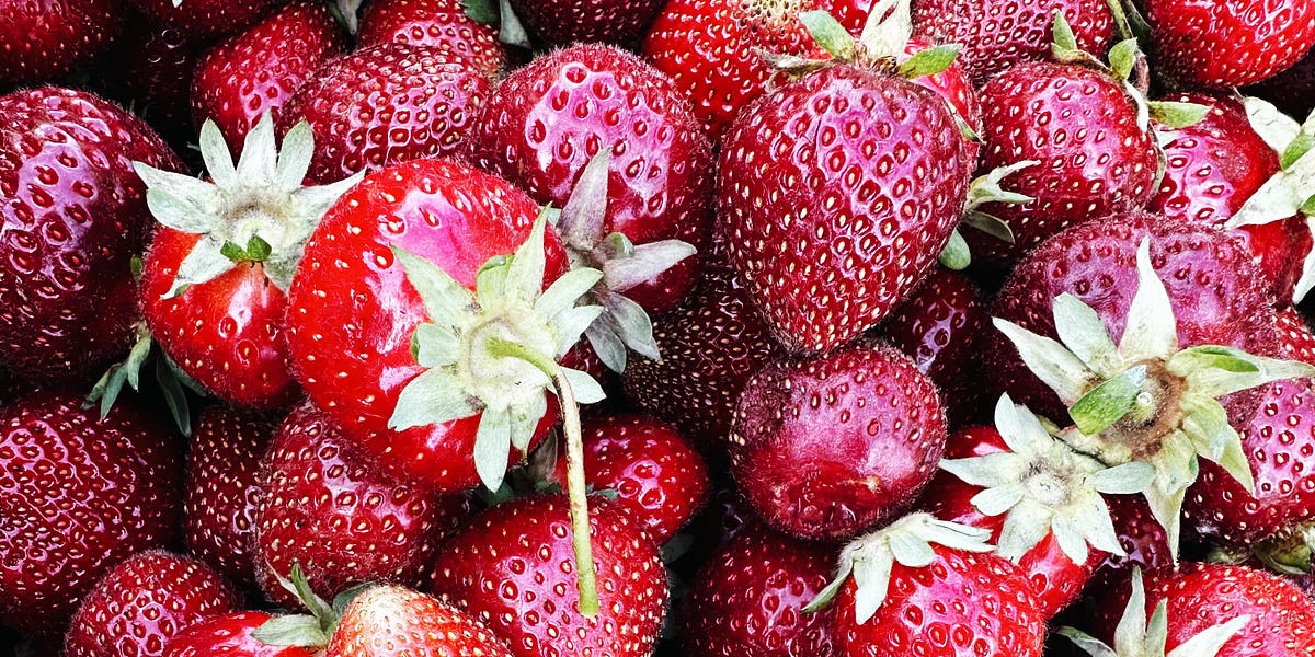 Sacred Summer - by Ashley Rodriguez - Fireside