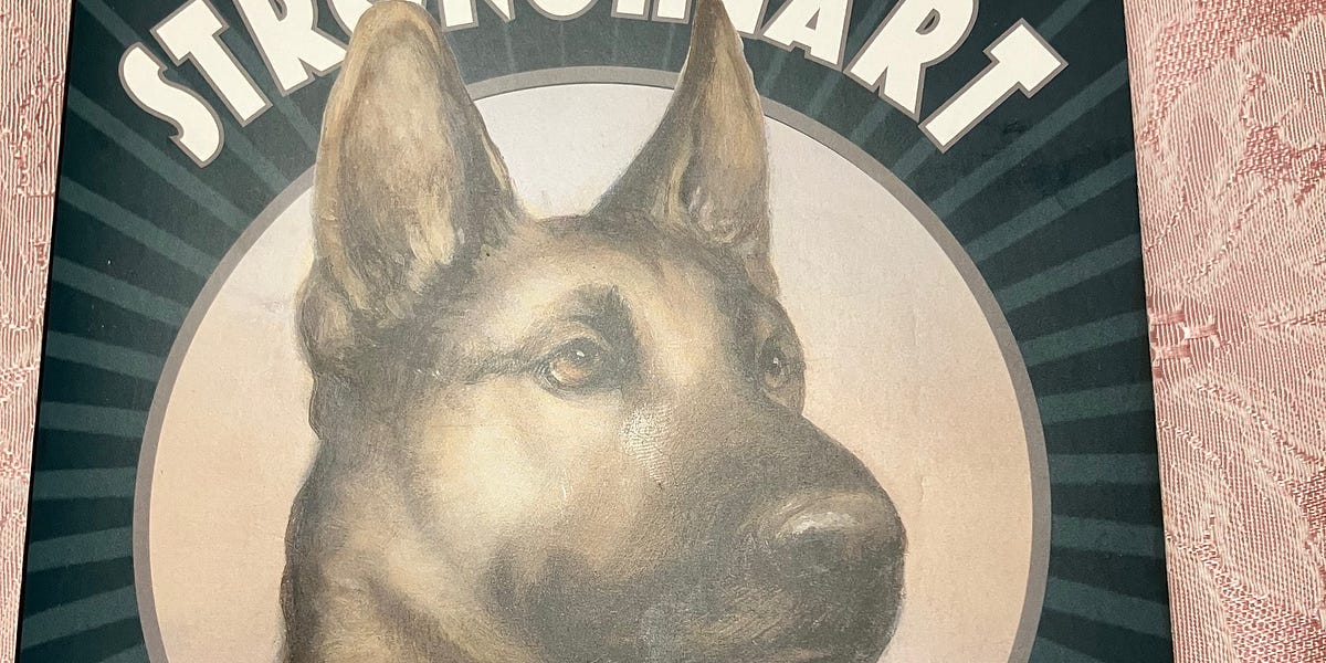 Book Review: "Strongheart: Wonder Dog on the Silver Screen"