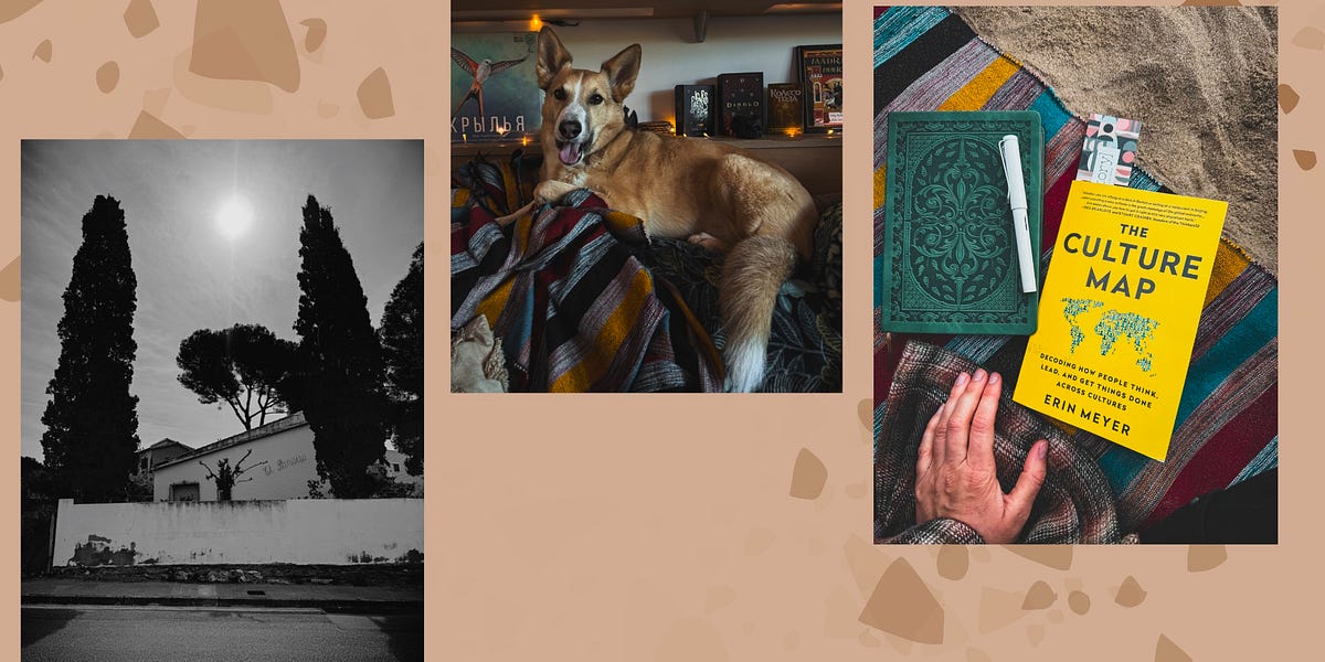 Lead by curiosity - by Vera Golosova - Chronicles from afar