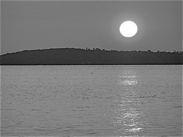 You're Darned Right It Was Cold - Roseanne T. Sullivan