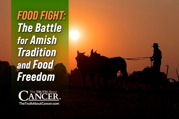 Food Fight: The Battle for Amish Tradition and Food Freedom 🚨
