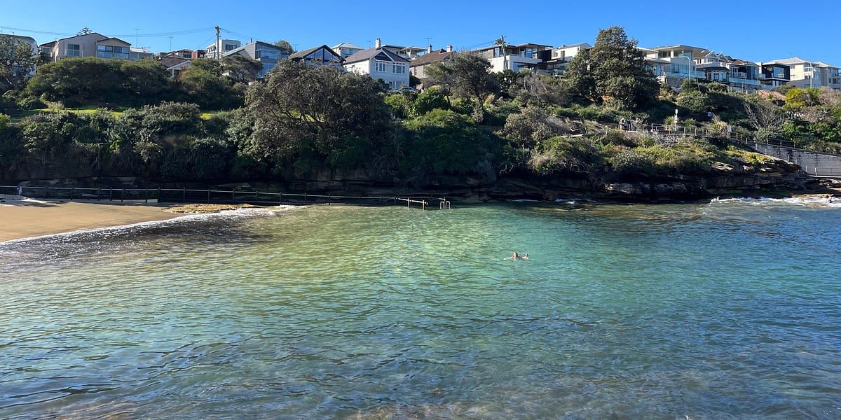 Australasian Veterinary Examination, AVE - Brainy Bilby