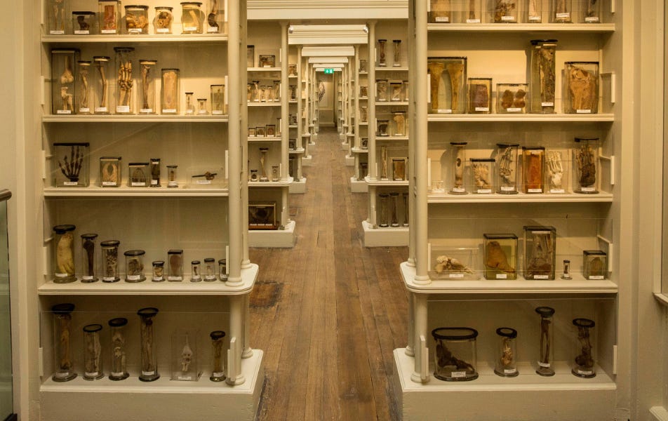 The Arrow #140 - by Michael Eades - The Arrow