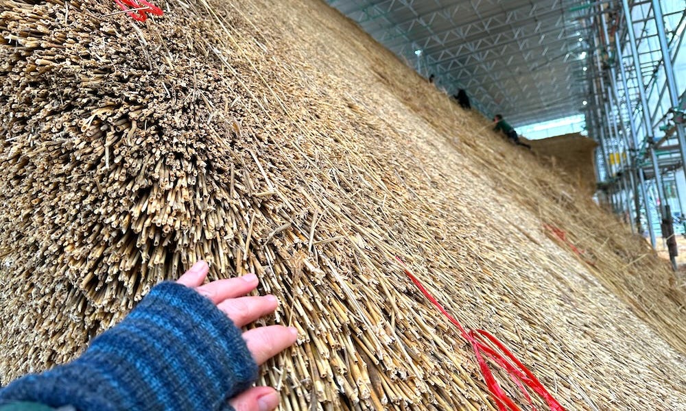 On London's Biggest Thatched Roof - by Matt Brown