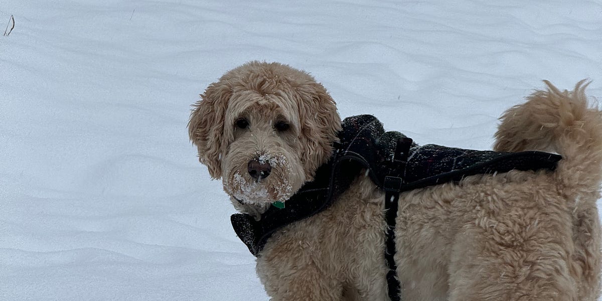 Sharp China: The Taiwan Status Quo; Markets and GDP Go Opposite ...