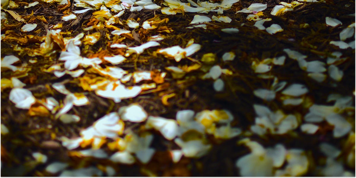 Akirame 2.4 - 愛想笑い(formal smile) - by Konglol