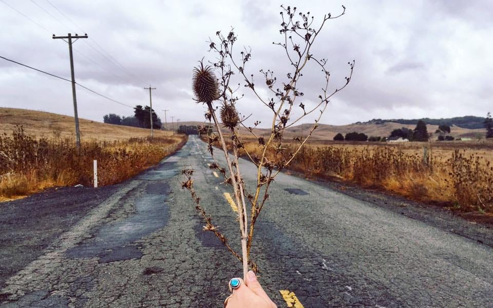 Loving the unlovable - by Lisa Olivera - Human Stuff