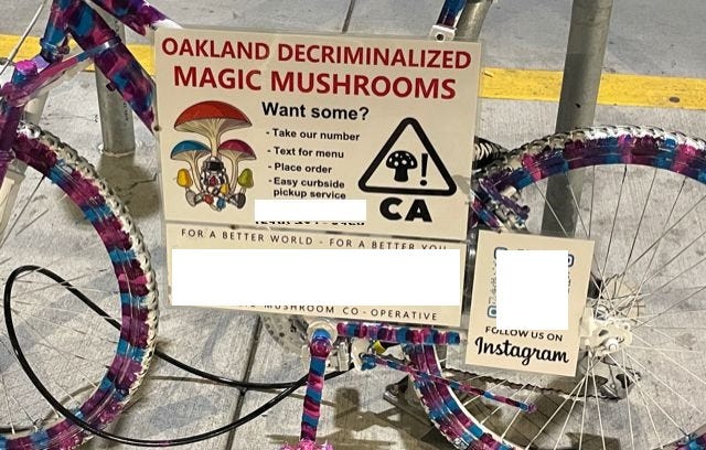 The varieties of 'psychedelic decriminalization'