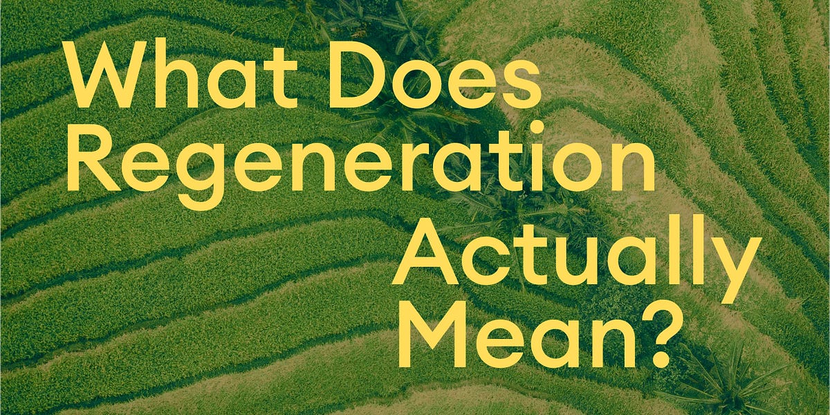 What does regeneration actually mean?