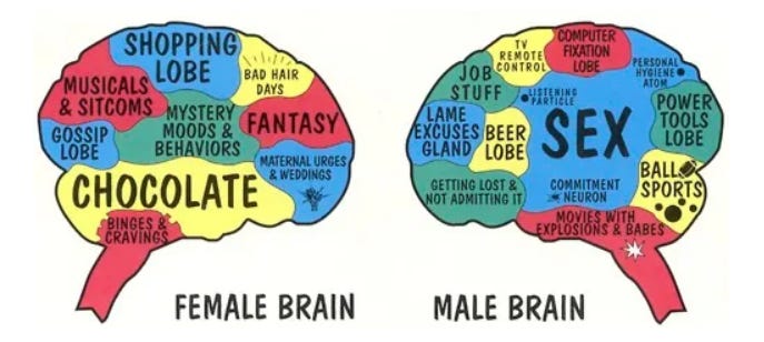 Stop Looking For The Trans Brain - by Anna Marie, PhD