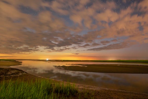 The vision for this Substack in 2024 - by Alissa Fleet