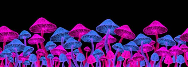 Psilocybin-assisted therapy - by Matthew Dooley