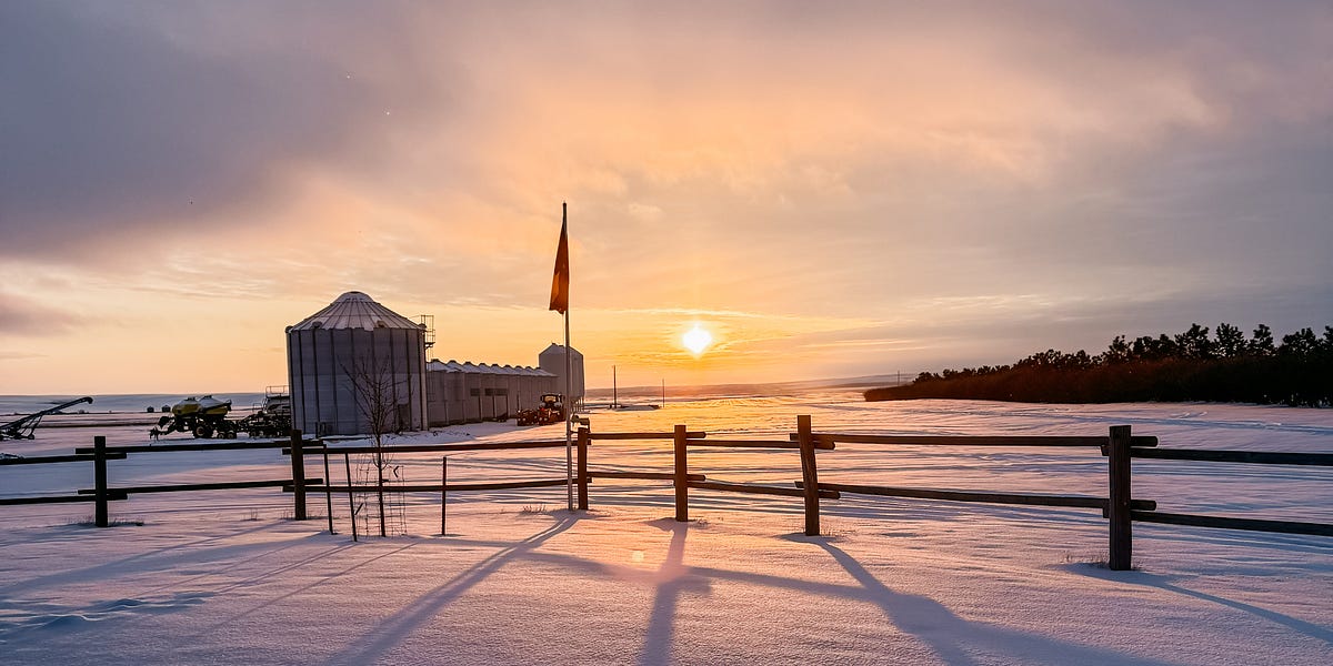 The One Where I Turned 40 - by Stacy Bronec