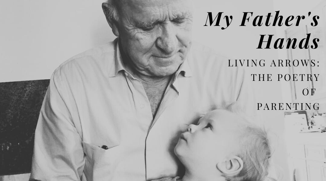 My Father's Hands - by Julia Romano