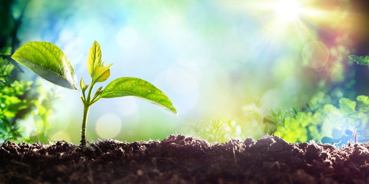 January, a Month of New Beginnings - by Sharon Beth O'Maley