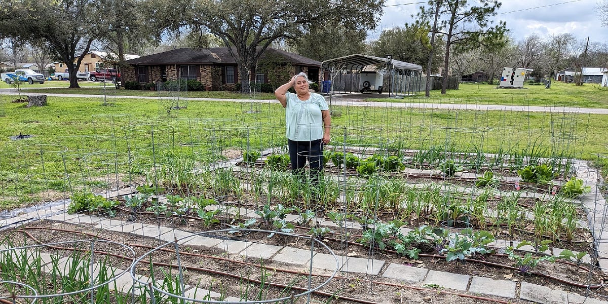 Entering The Future - by John Day MD - Dr. John's Blog