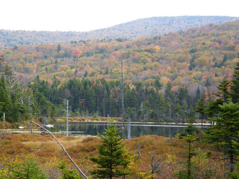 Mysterious Disappearances in Vermont's Bennington Triangle