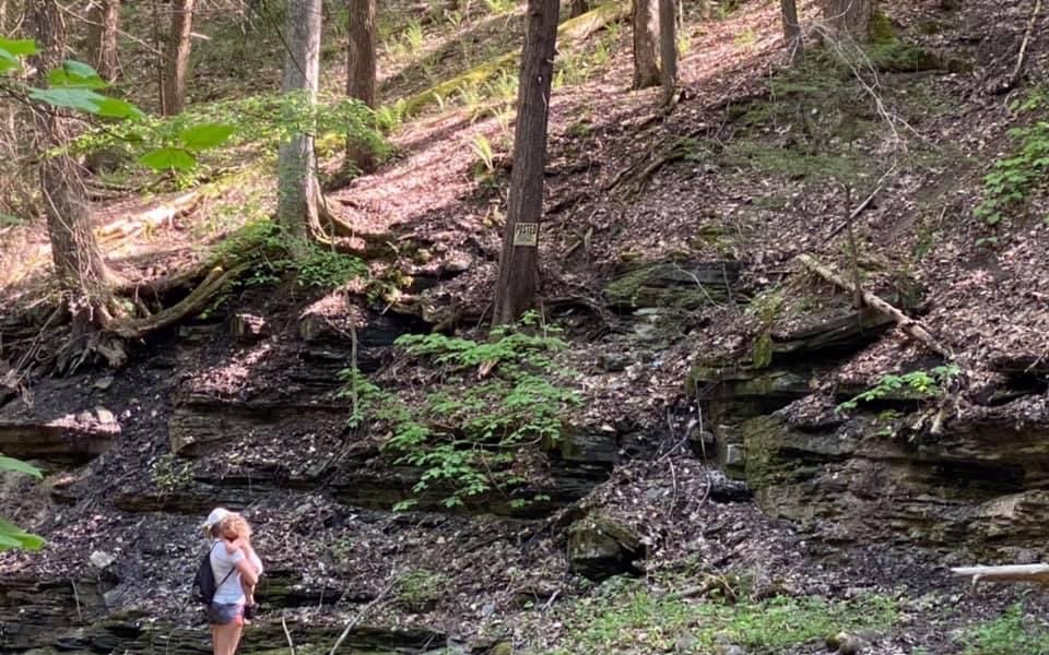 THIS IS WHY WE'RE HERE - by Caroline Manring