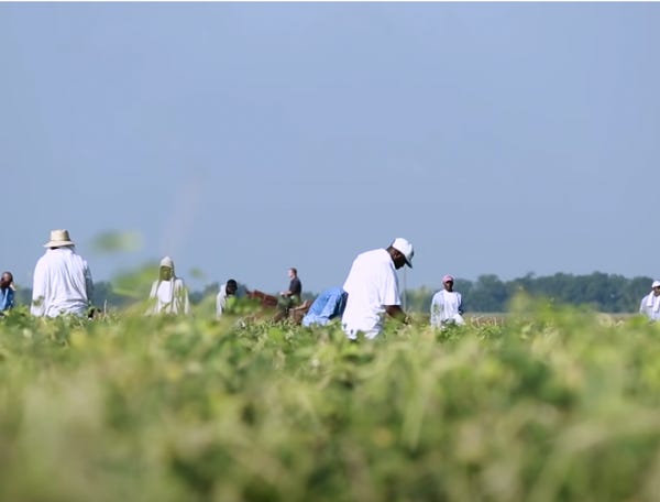 Is Slavery Good Or Bad? Five States To Vote This November.