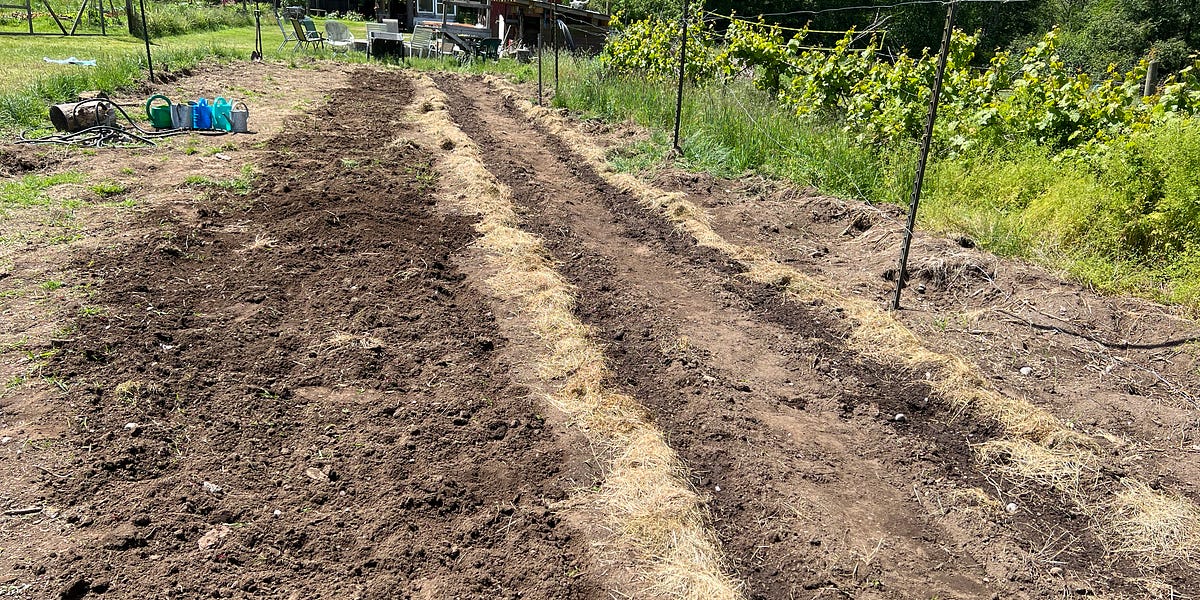 Sabbatical Day 5 - by Anthony Mako - Anthony’s Substack