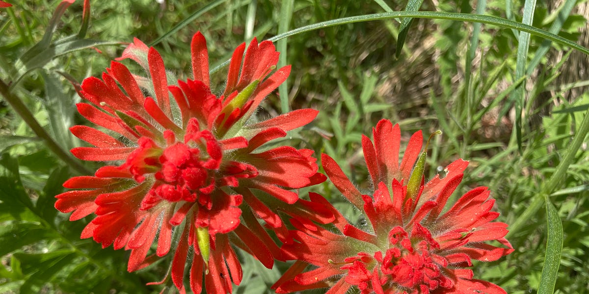 This Is It - by Carol Anne Lesser - Sexy as a Mother