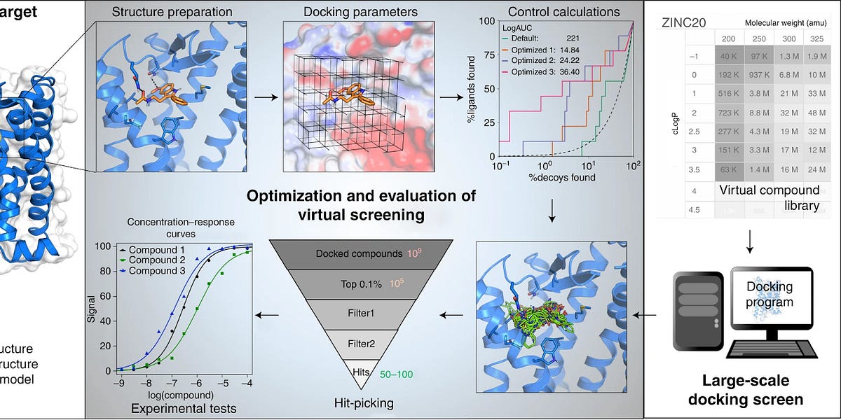 A Practical Guide to Large Scale Docking
