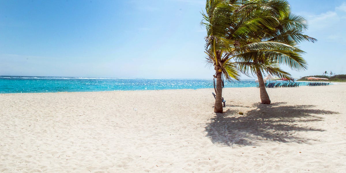 First Issue Ever: From the Beach - BowTied Bum