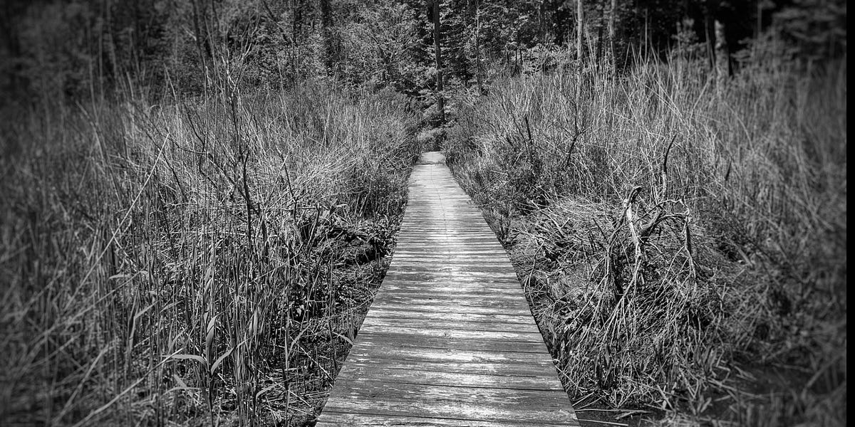 The End of the World - by Lirpa Strike - Just Saying