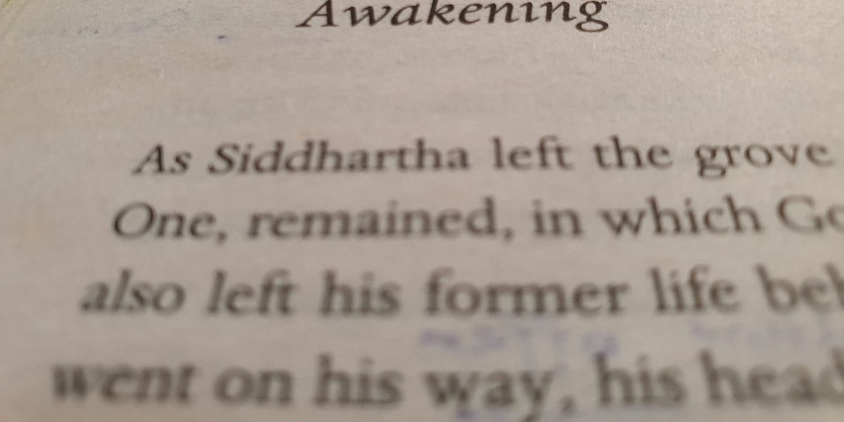Siddhartha Chapter 4: Awakening - by Stephan Joppich