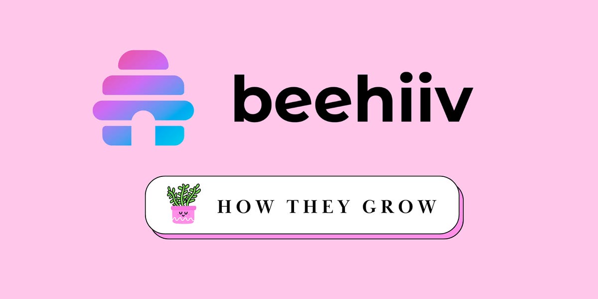 How beehiiv Grows: Becoming The Sweetest Newsletter Platform