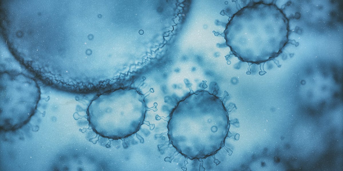 What Makes SARS-CoV-2 the Perfect Pathogen