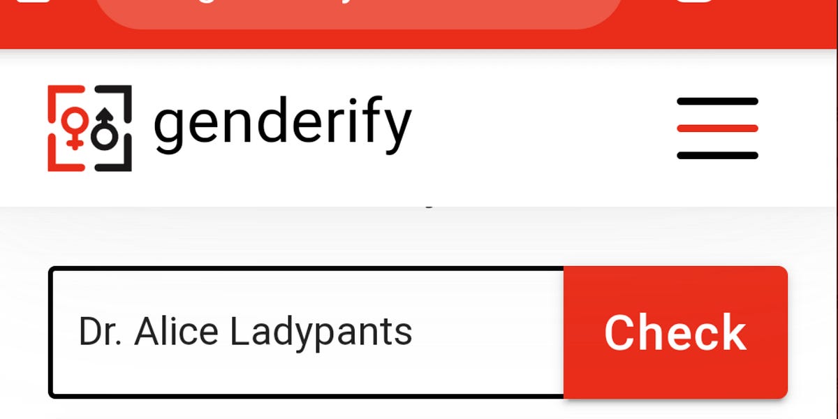 Invisible Women - When in Doubt, Blame the Algorithm