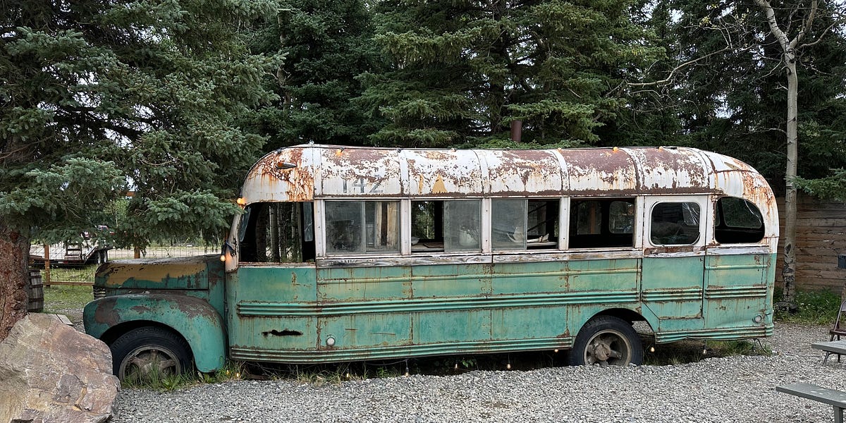 Into the Wild - by Liz Medford - lizexplores.com