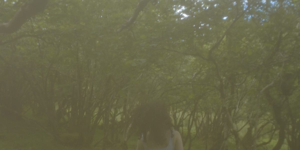 goodbye substack - Selkie Grove