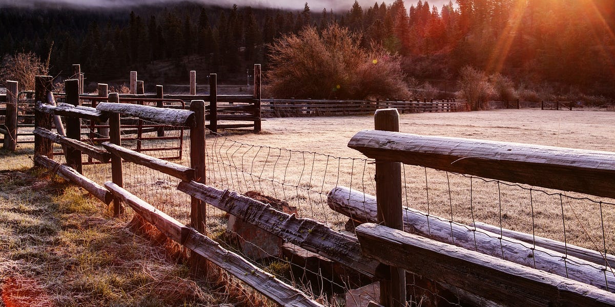 Limits of the Law - by David R Maas - Letters to the Church