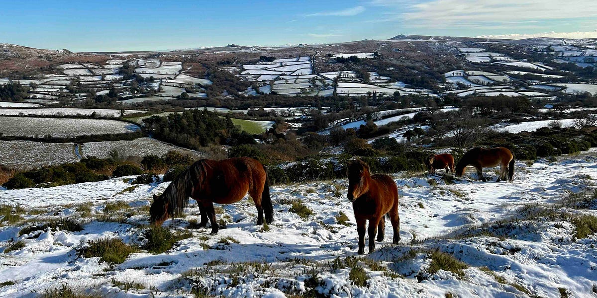 Introducing 'Rolling Along' - by Tom Cobley - Rolling Along